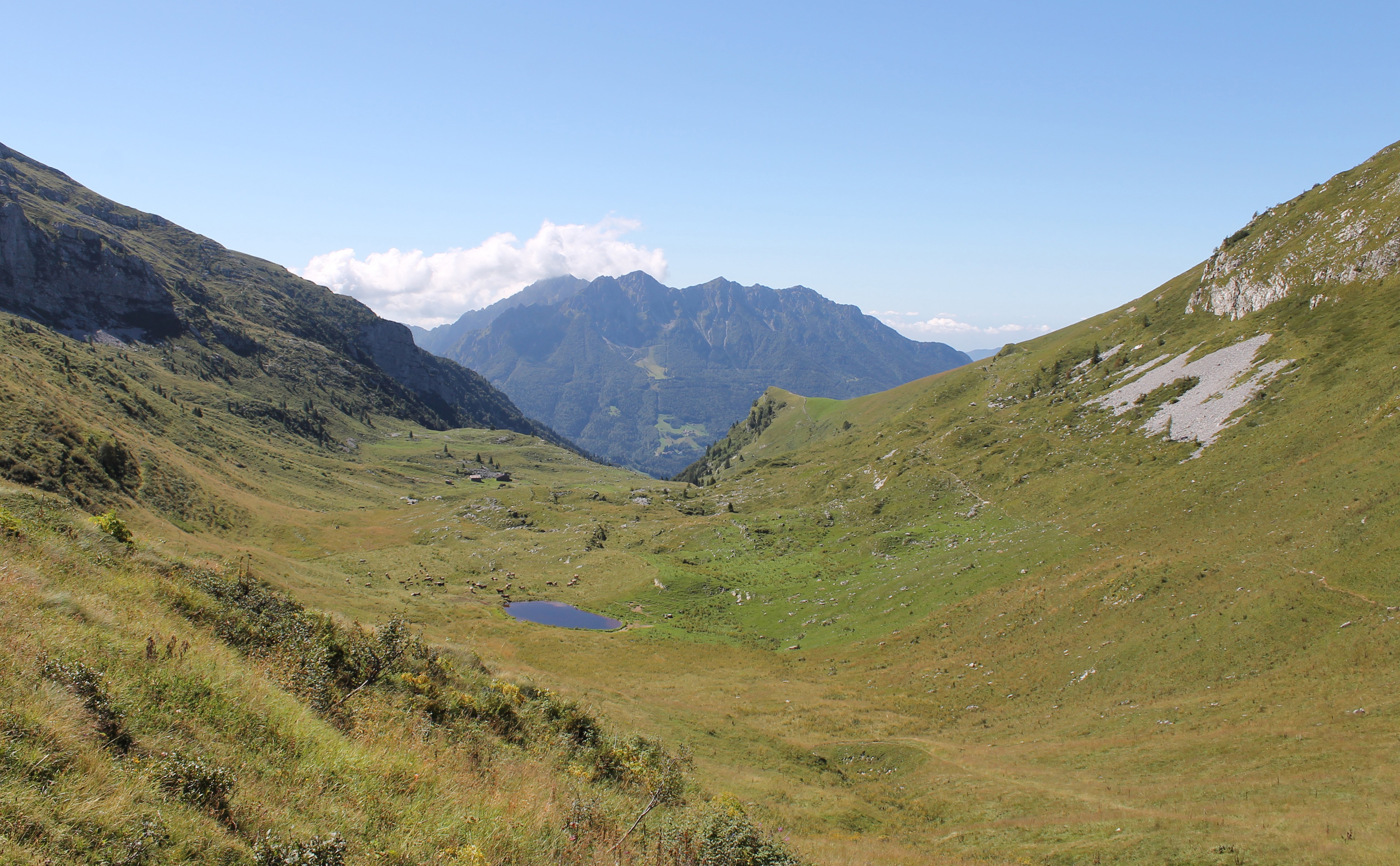 Praterie montane e Ambienti di alta quota | Lipu ODV